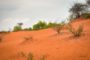 Theri Kaadu, Tirunelveli – Red Desert of Tamil Nadu – Mukundha Tours ...